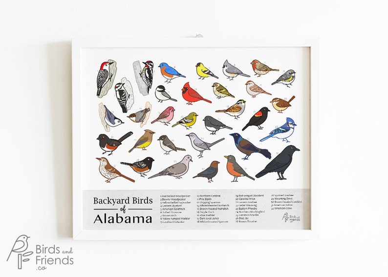 Alabama Printable Backyard Birds of Alabama Field Guide Print Bird Art ...