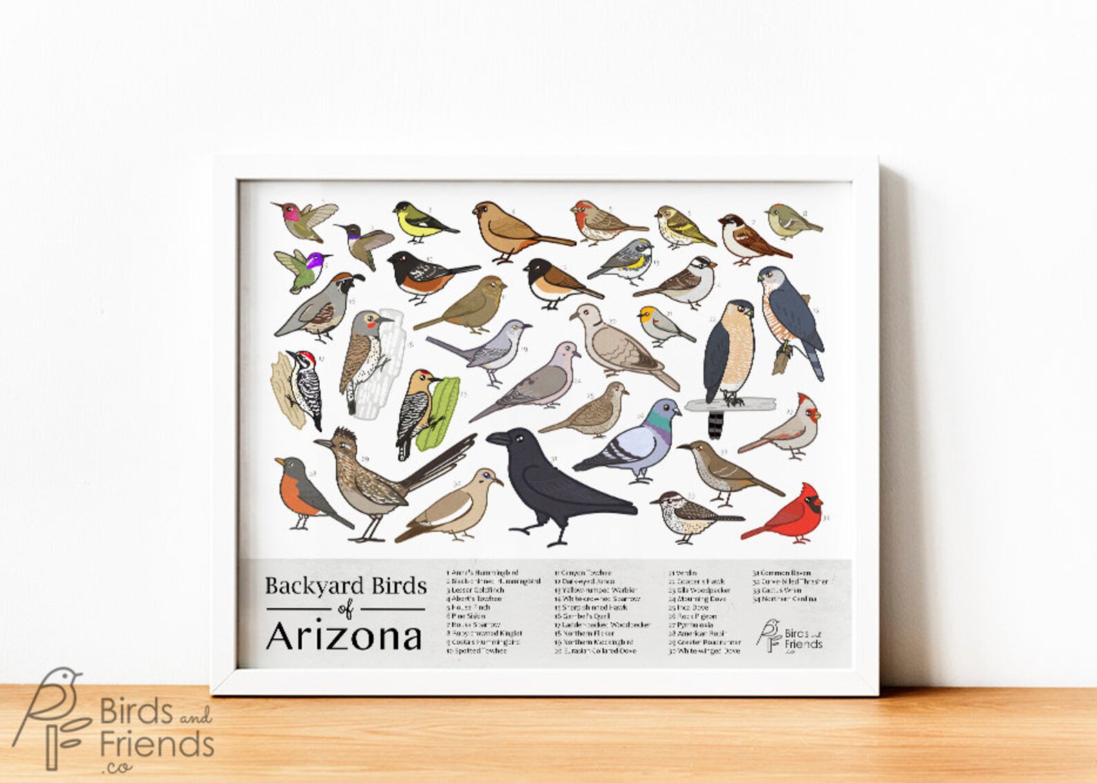 Arizona Printable Backyard Birds of Arizona Field Guide Print Printable ...