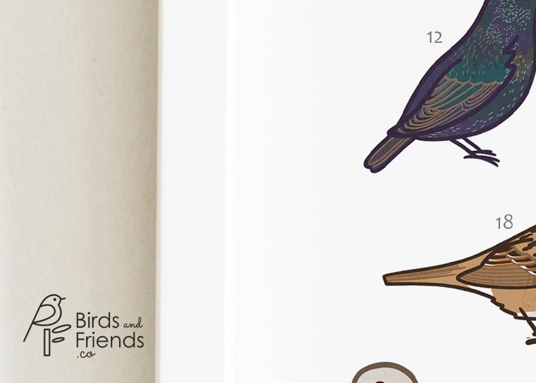 Oregon - Printable Backyard Birds of Oregon Field Guide Print ...