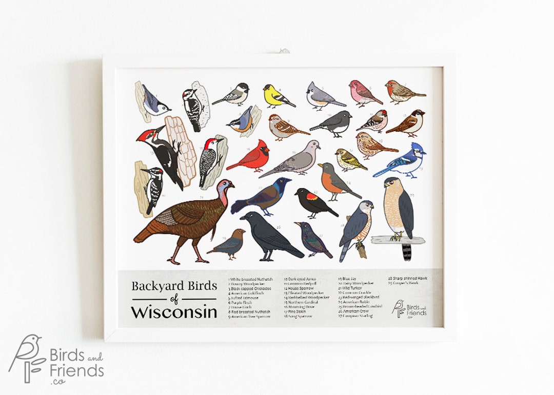 Wisconsin - Printable Backyard Birds of Wisconsin Field Guide Print ...