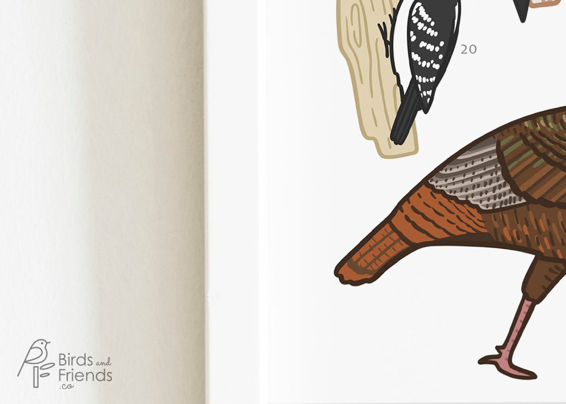 Minnesota - Printable Backyard Birds of Minnesota Field Guide Print ...