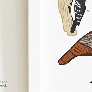 Minnesota - Printable Backyard Birds of Minnesota Field Guide Print ...