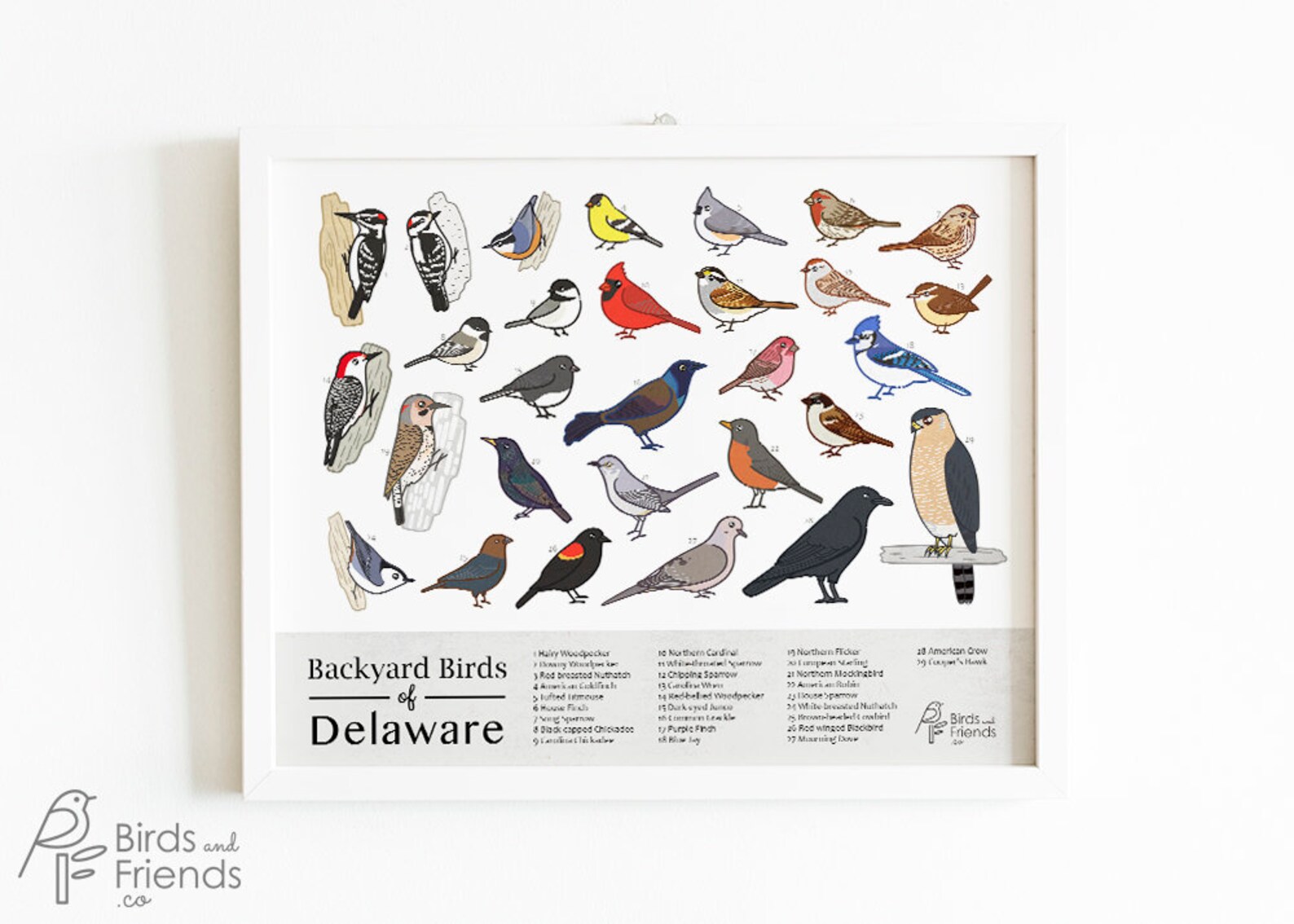Delaware - Printable Backyard Birds of Delaware Field Guide Print ...