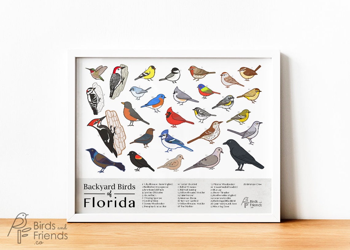 Florida Printable Backyard Birds of Florida Field Guide Print Bird Art ...