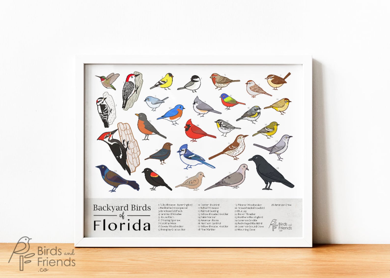 Florida Printable Backyard Birds of Florida Field Guide Print Bird Art ...