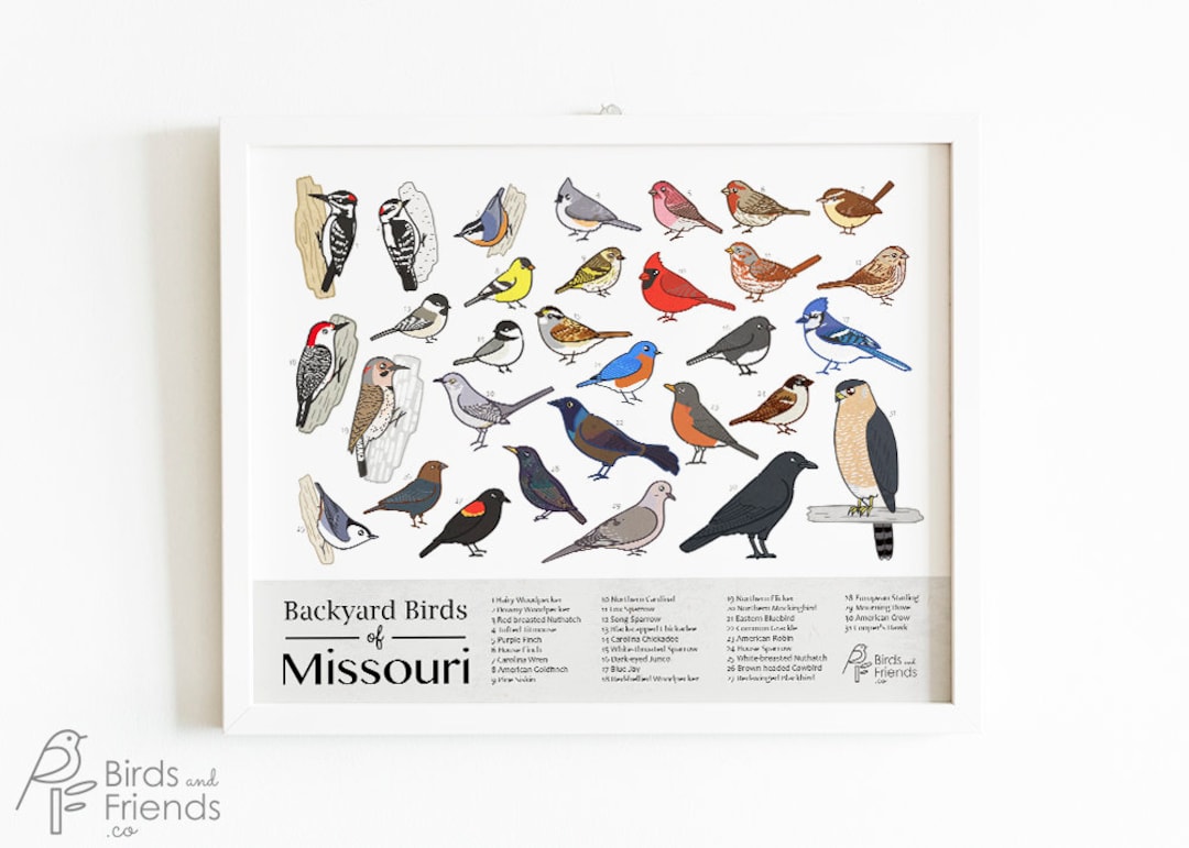 Missouri - Printable Backyard Birds of Missouri Field Guide Print ...