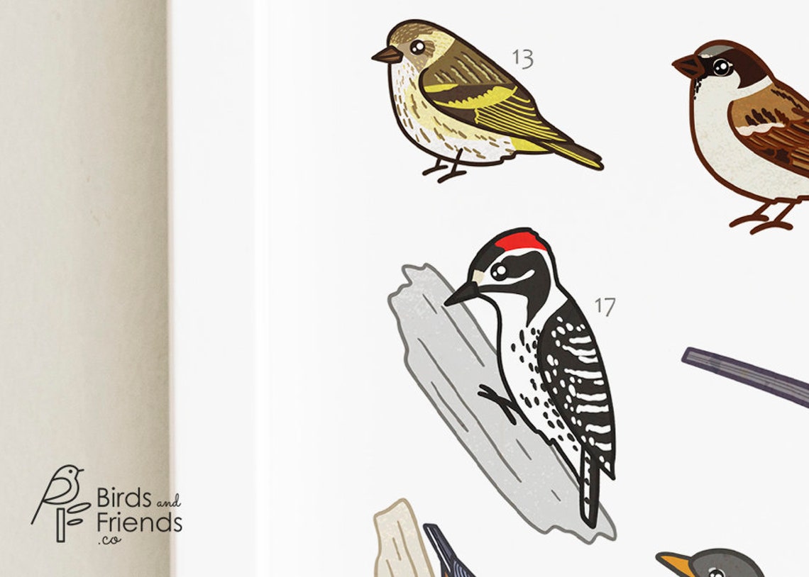 California Printable Backyard Birds of California Field Guide Print ...