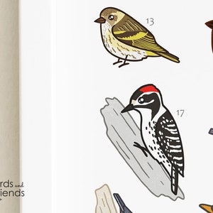 California Printable Backyard Birds of California Field Guide Print ...