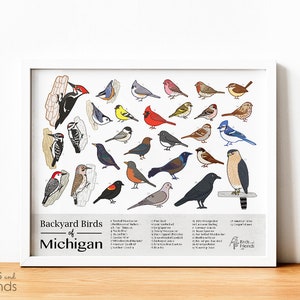 Michigan - Printable Backyard Birds of Michigan Field Guide Print ...
