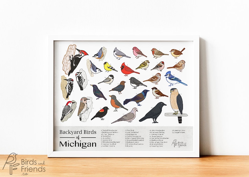 Michigan - Printable Backyard Birds of Michigan Field Guide Print ...