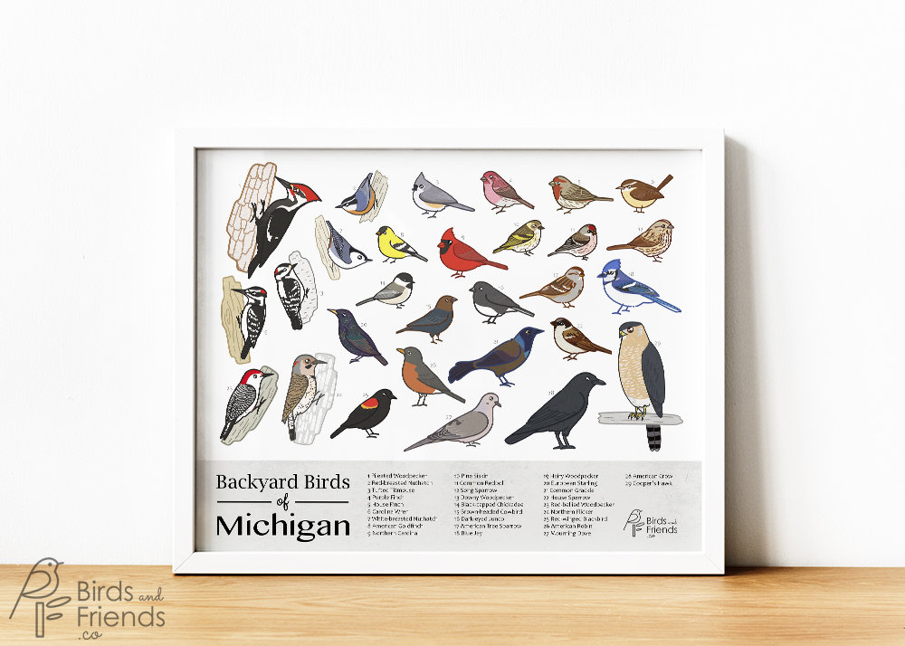 Michigan - Printable Backyard Birds of Michigan Field Guide Print ...