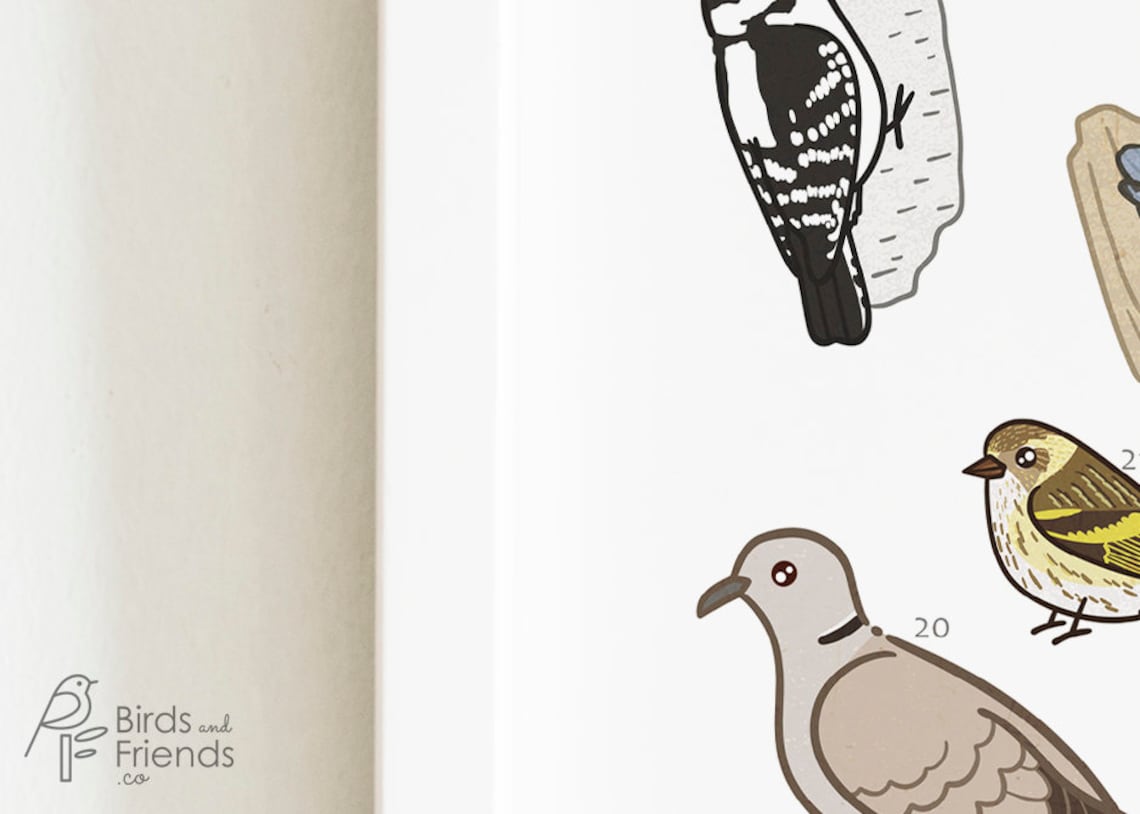 Colorado Printable Backyard Birds of Colorado Field Guide Print ...