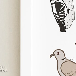 Colorado - Printable Backyard Birds of Colorado Field Guide Print ...