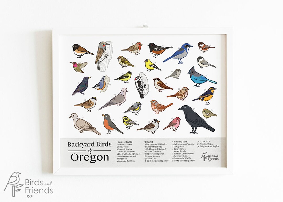 Oregon - Printable Backyard Birds of Oregon Field Guide Print ...