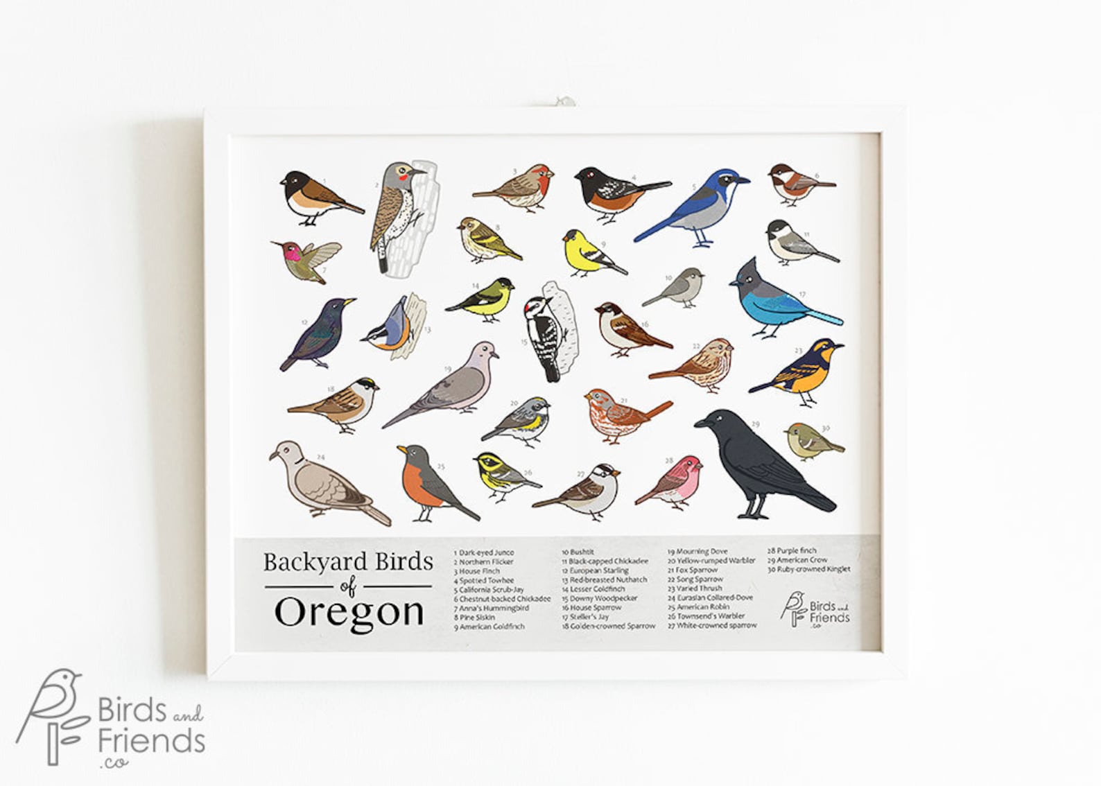 Oregon - Printable Backyard Birds of Oregon Field Guide Print ...