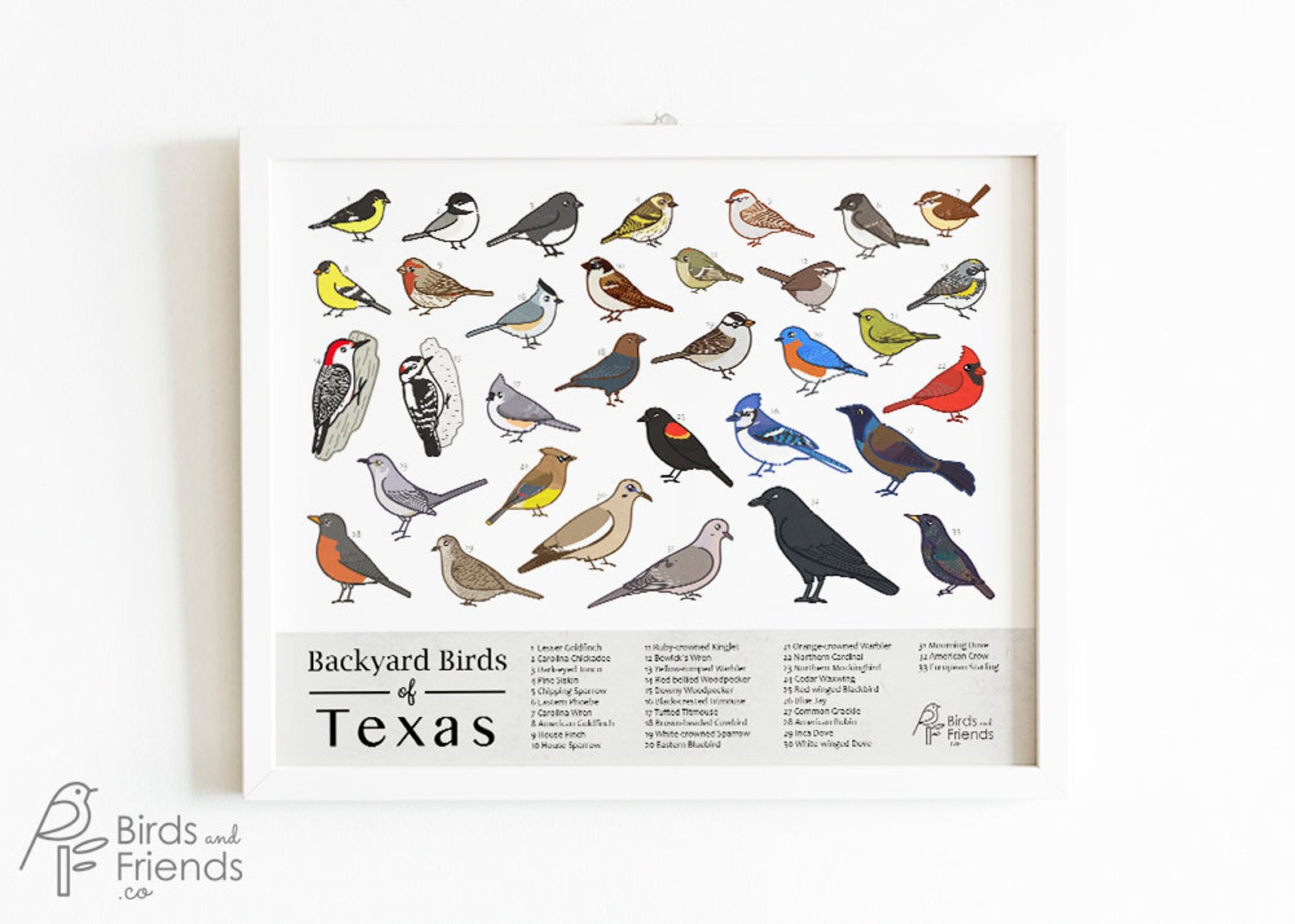 Texas - Printable Backyard Birds of Texas Field Guide Print - Printable ...