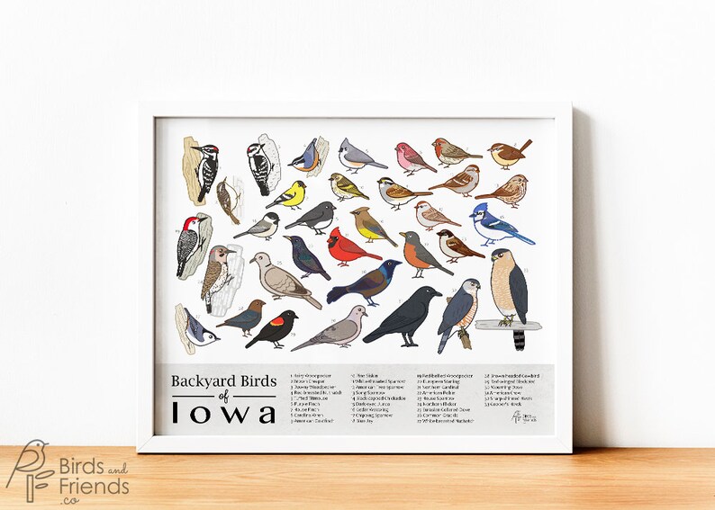 Iowa Printable Backyard Birds of Iowa Field Guide Print - Etsy