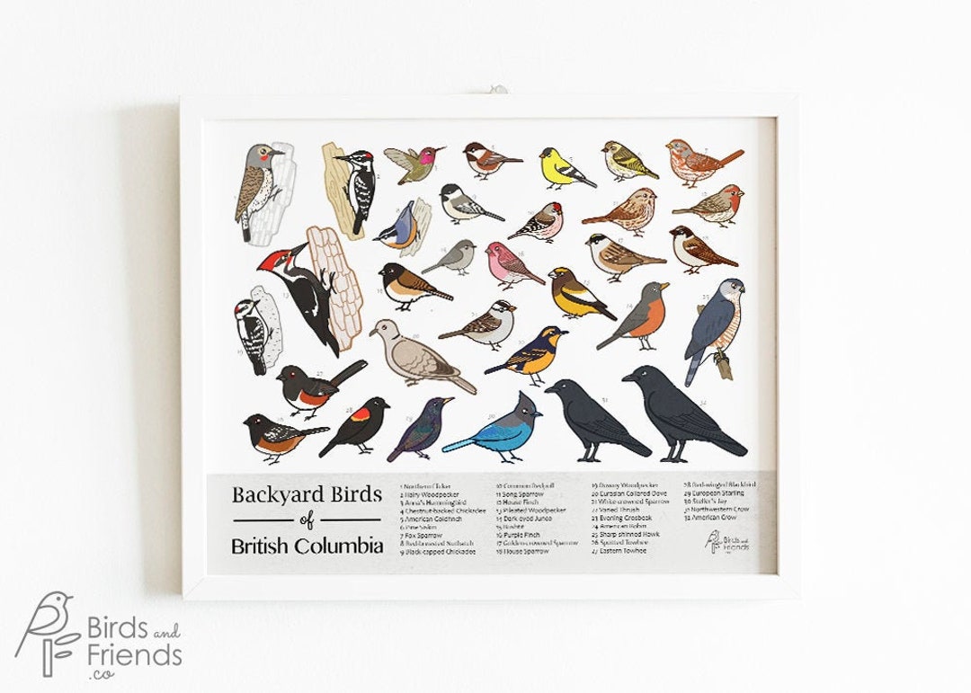 British Columbia - Printable Backyard Birds of British Columbia Field ...