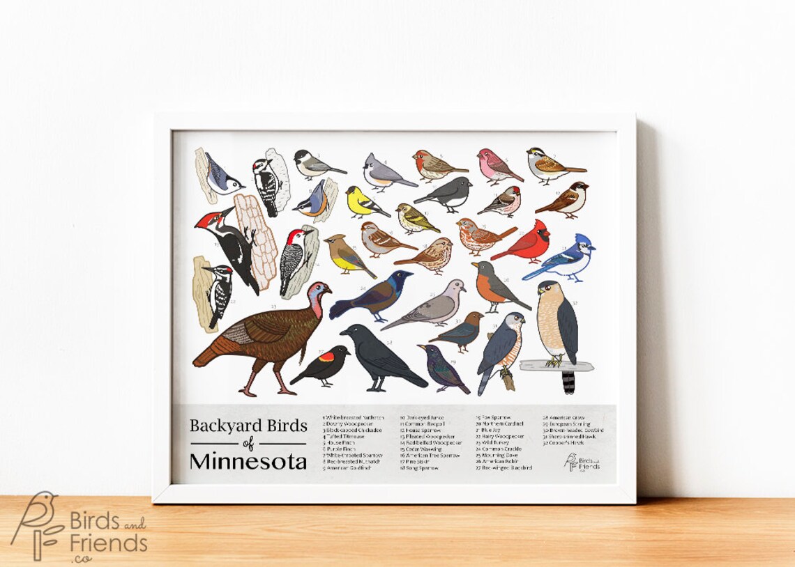 Minnesota - Printable Backyard Birds of Minnesota Field Guide Print ...