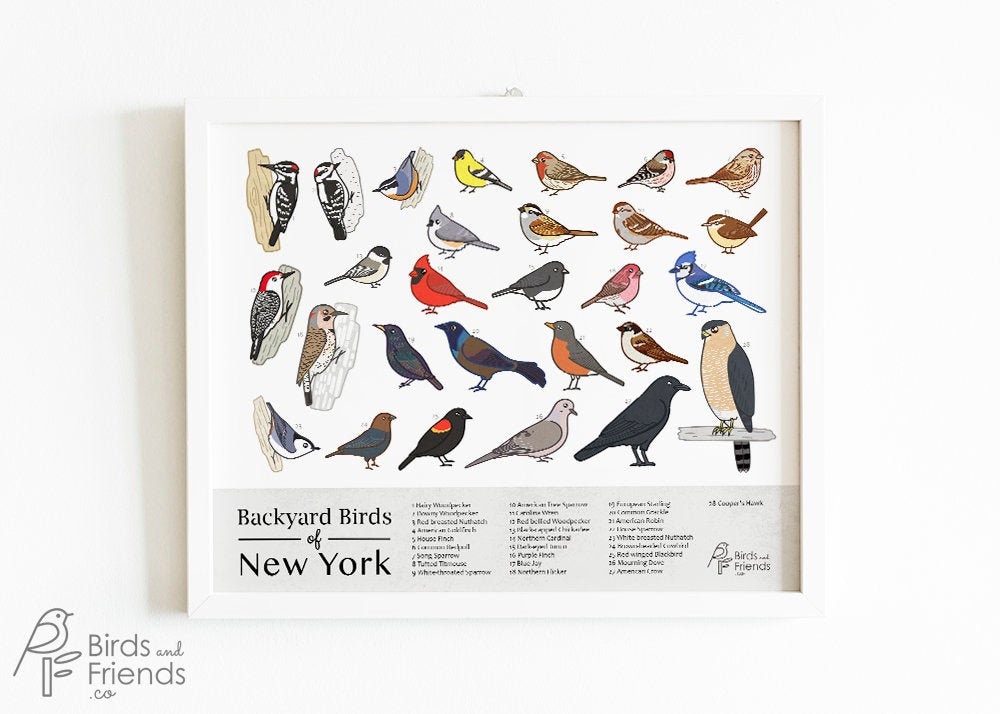 Printable Images Of Birds NEW: Angry Birds Friends On Mobile