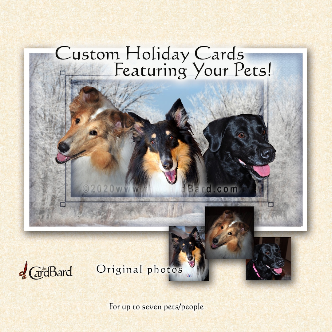 Holiday Pet Photo Card - "etched in Glass" - Beautiful Personalized ...