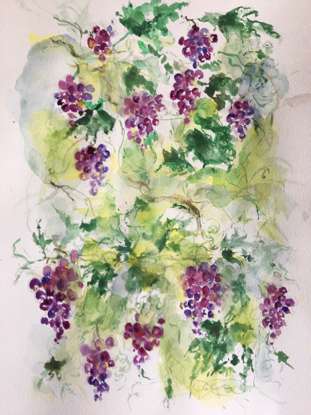 Grapes - Etsy