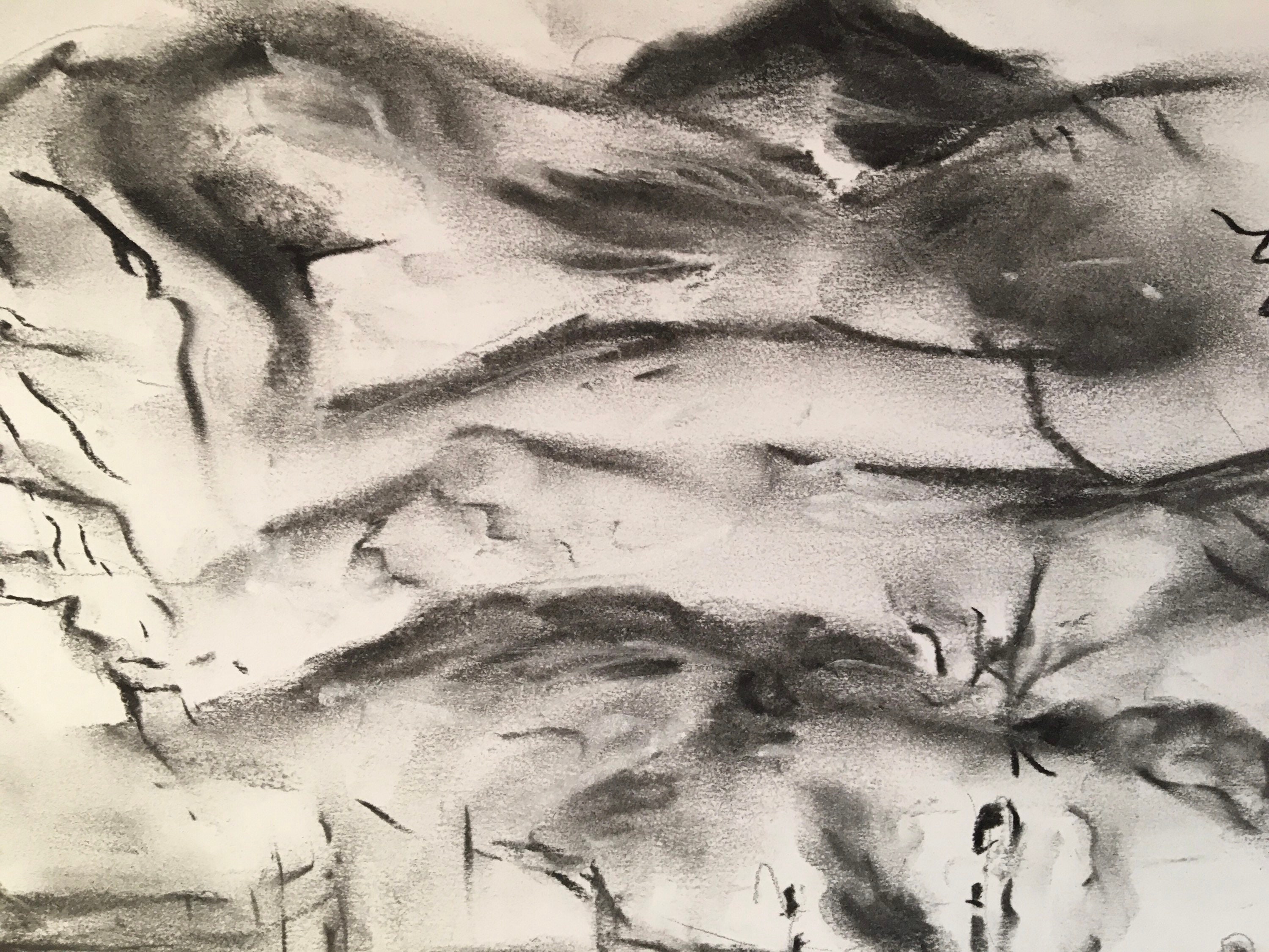 An A3 Size Charcoal Drawing Will Fit Into Standard A3 Frame Free Uk 