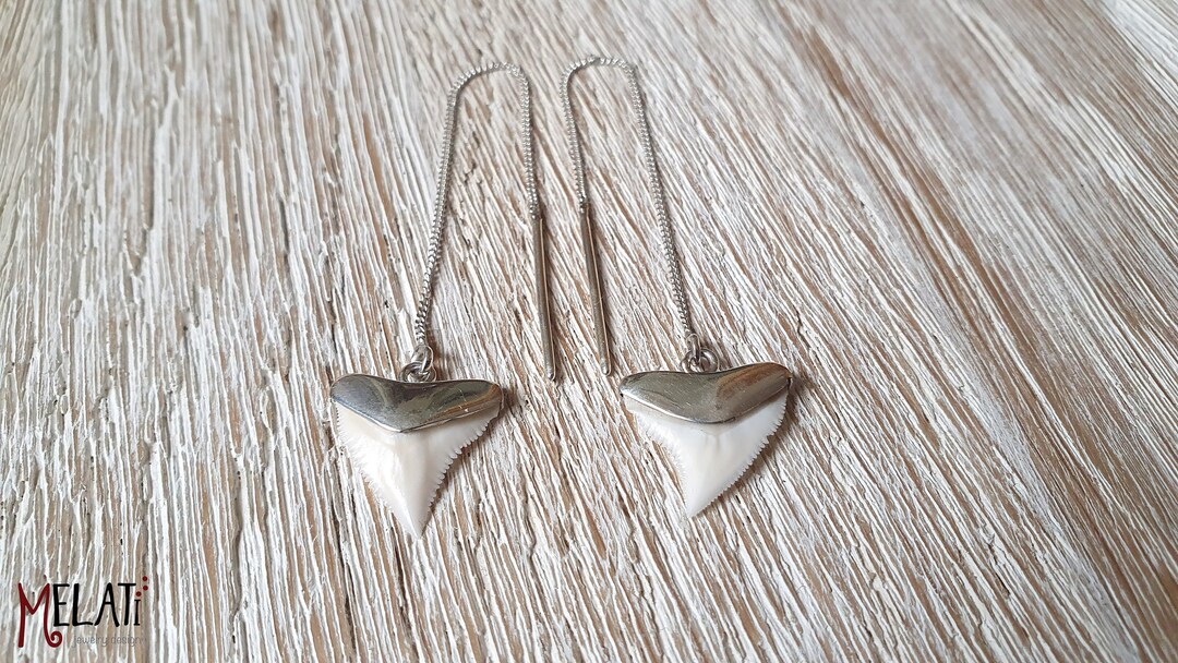Silver Earrings With Real Shark Teeth, Shark Tooth Earrings, Shark ...