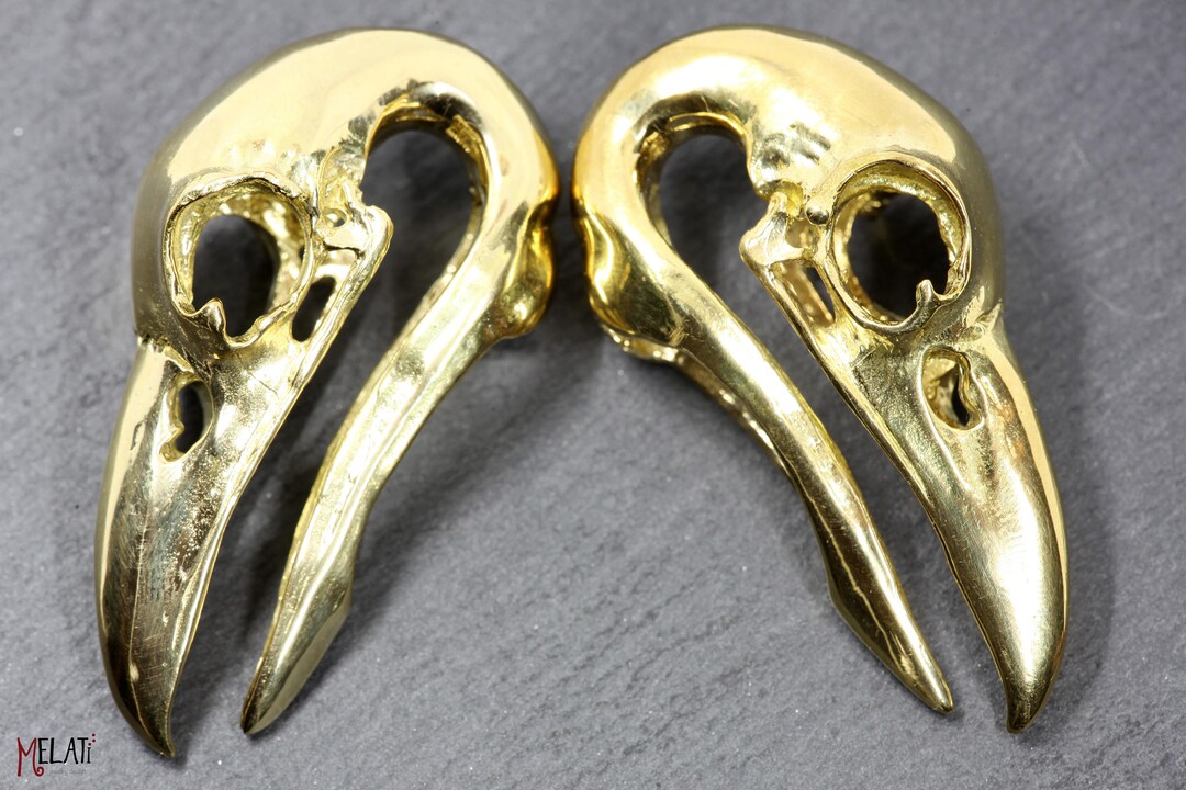 1x Brass Plug, Bird Skull, Ear Weights Skull, Plugs Skull Design ...