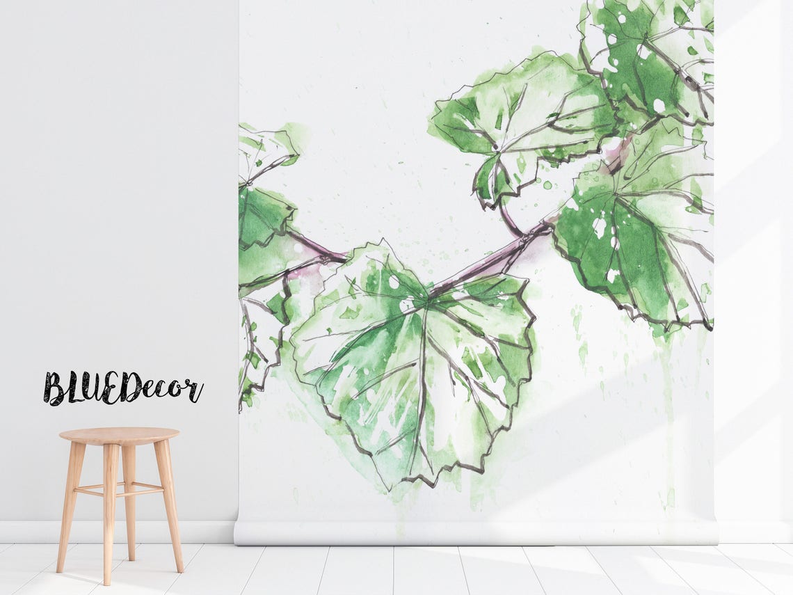 Vine With Leaves Drawn Watercolor Mural, Nature, Leaves, Wine ...