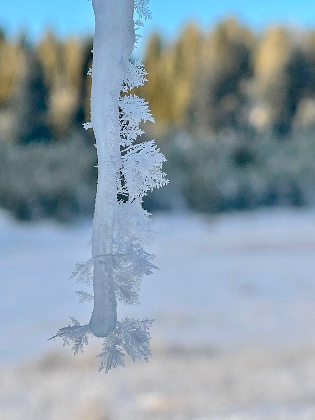 Frost Art - Etsy