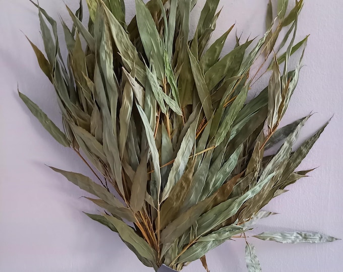 Aztec Sky.:. One Painted Feather/smudging/ceremony/prayer//blessing ...