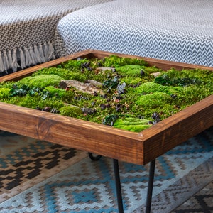 Woodland Coffee Table 60cm X 60cm 24' X 24' Brown Frame Biophilic ...