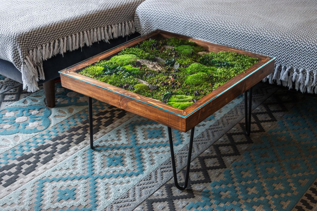 Woodland Coffee Table 60cm X 60cm 24' X 24' Brown Frame Biophilic ...