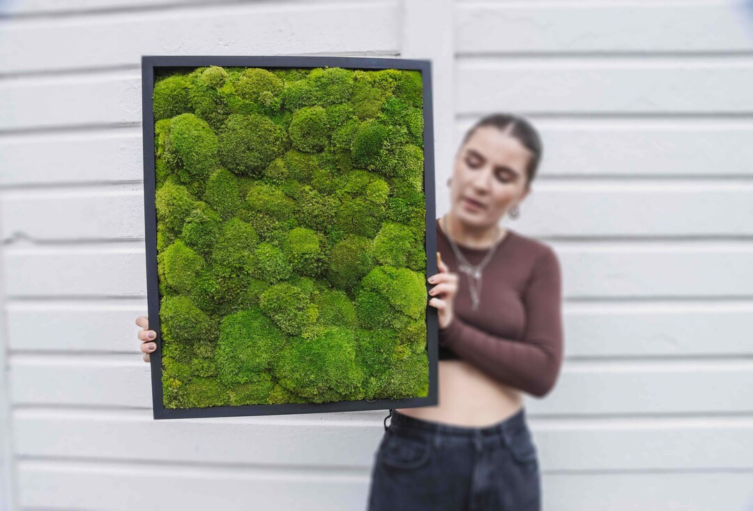 Delamere Bun Moss Wall Art Real Preserved Moss Interior Moss Wall Green Wall Art Moss Panels ...