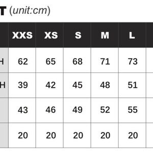 Phase Connect: Ashelia Rinkou/lia Pocket T-shirt Size S~3XL Vtuber - Etsy