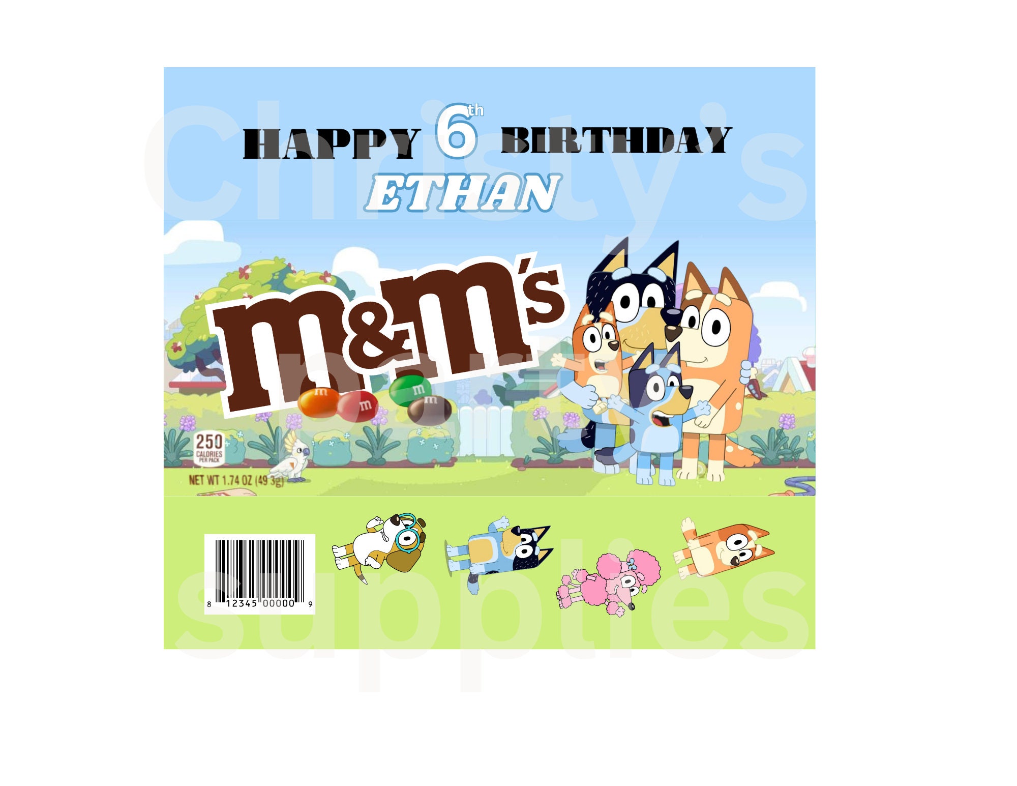 Bluey Custom Party Supplies, Any Theme Available - Etsy