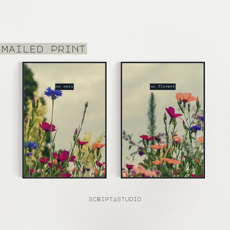 Aesthetic Flower Quote Print, No Rain No Flowers, Wildflower Field Art ...