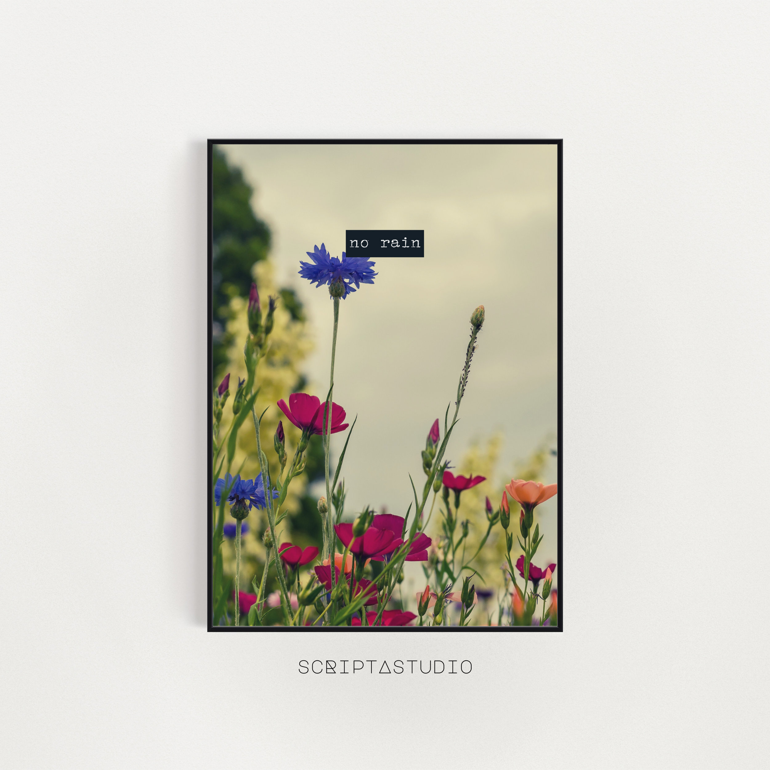 Aesthetic Flower Quote Print, No Rain No Flowers, Wildflower Field Art ...