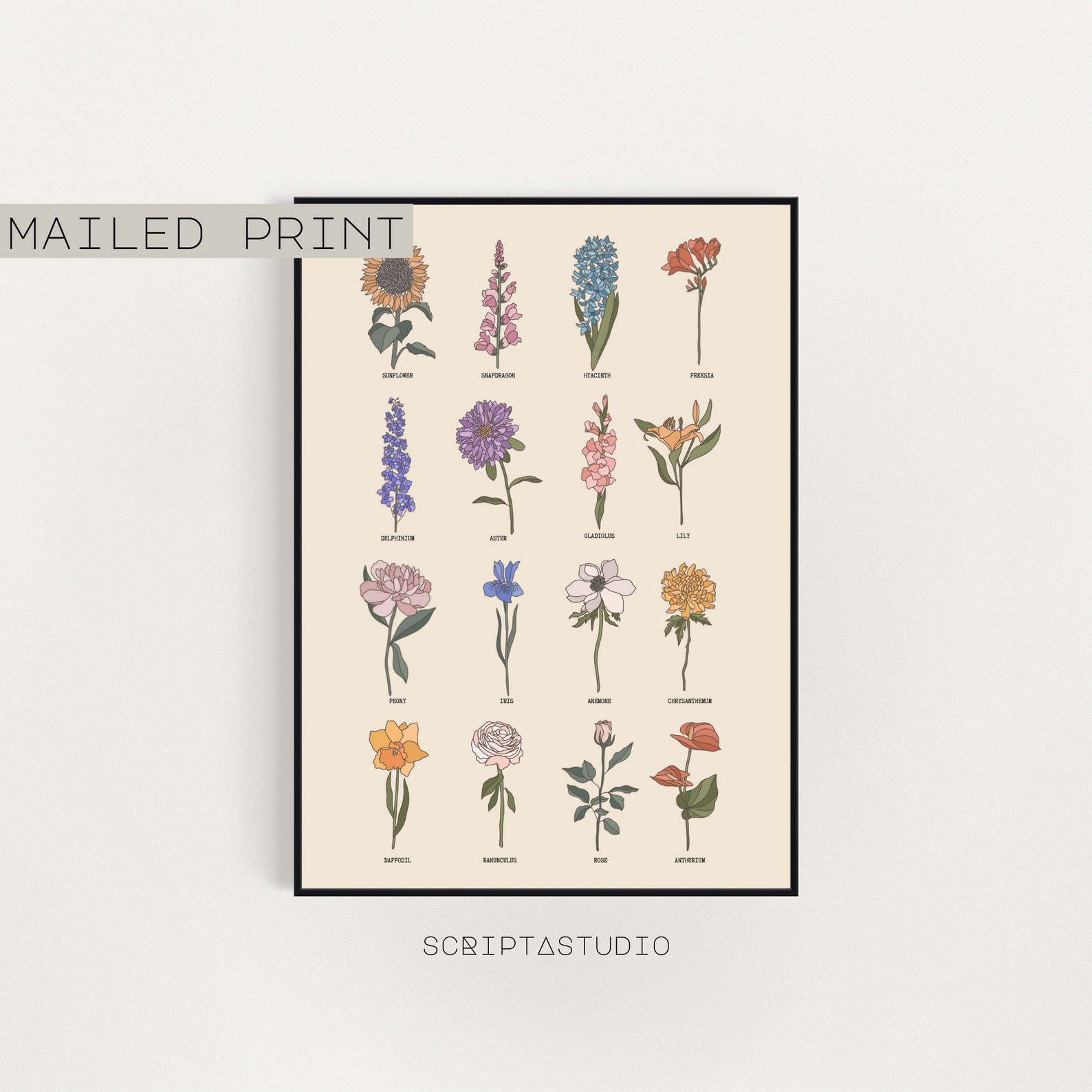 Flower Chart Poster Wildflowers Print Garden Prints Vintage - Etsy