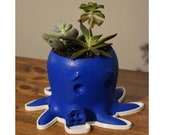 Octopus Planter / Succulent / Cactus Pot / Small Planter / - Etsy