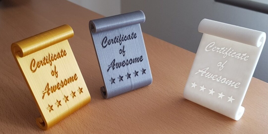 Certificate of Awesome / Award / Trophy - Etsy