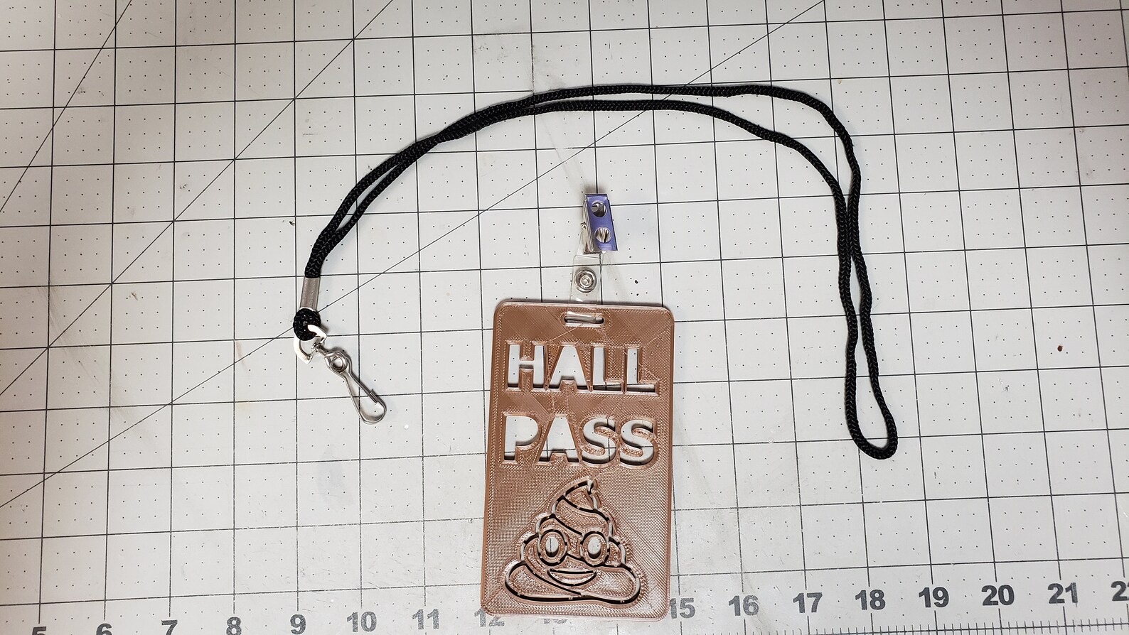 Hall Pass / Bathroom Pass / Gift for Teacher / Back to School / Poop ...