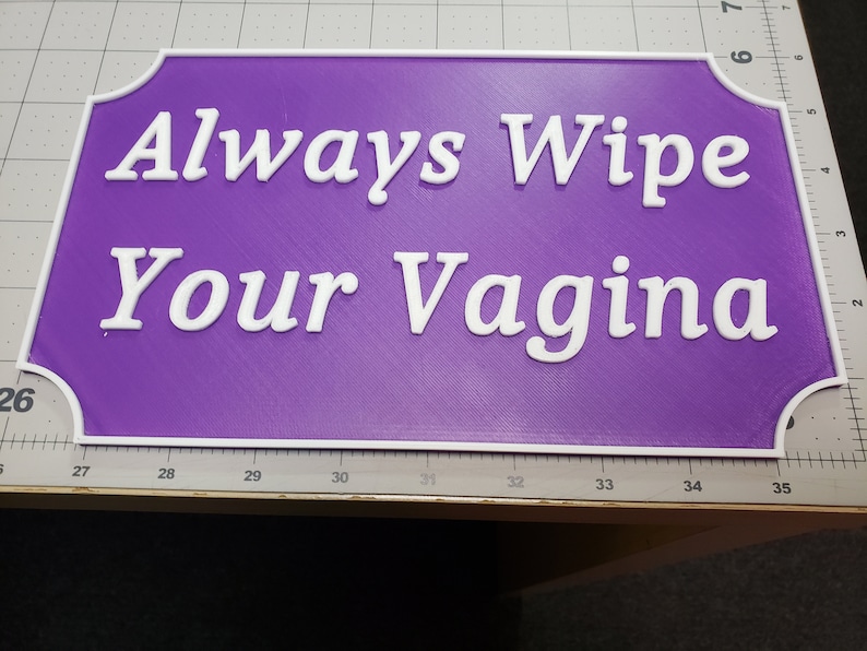 Funny Bathroom Sign / Inappropriate Signs / Potty Training | Etsy