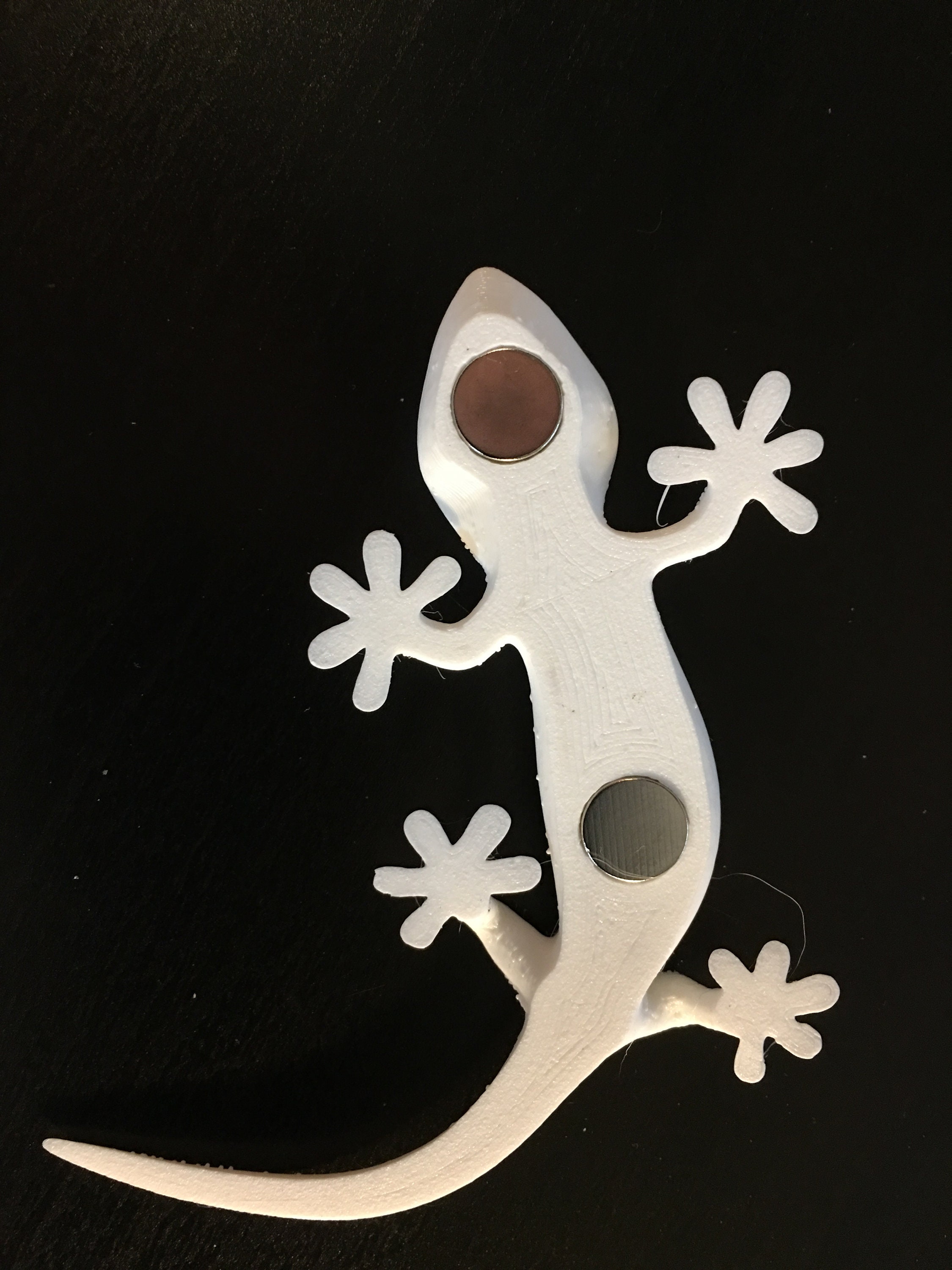 Gecko Magnet / Home Decor / Southwest / Lizard / Cute / Fridge - Etsy