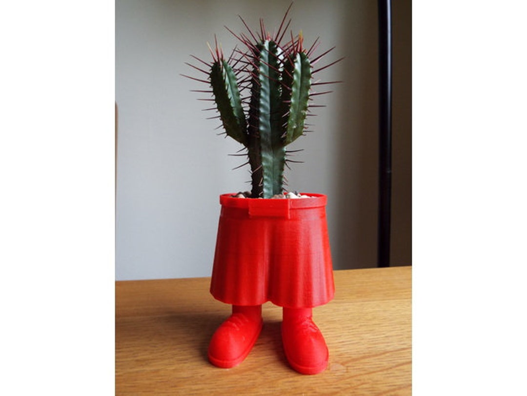 3D Printed Shorts Plant Pot: Quirky Feet Planter - Etsy