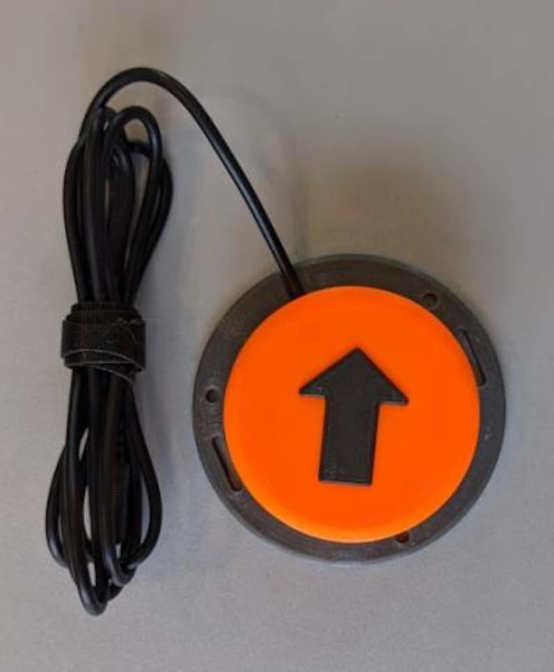 WATERPROOF Interact Switch! / Custom Options / Big Button / Assistive ...