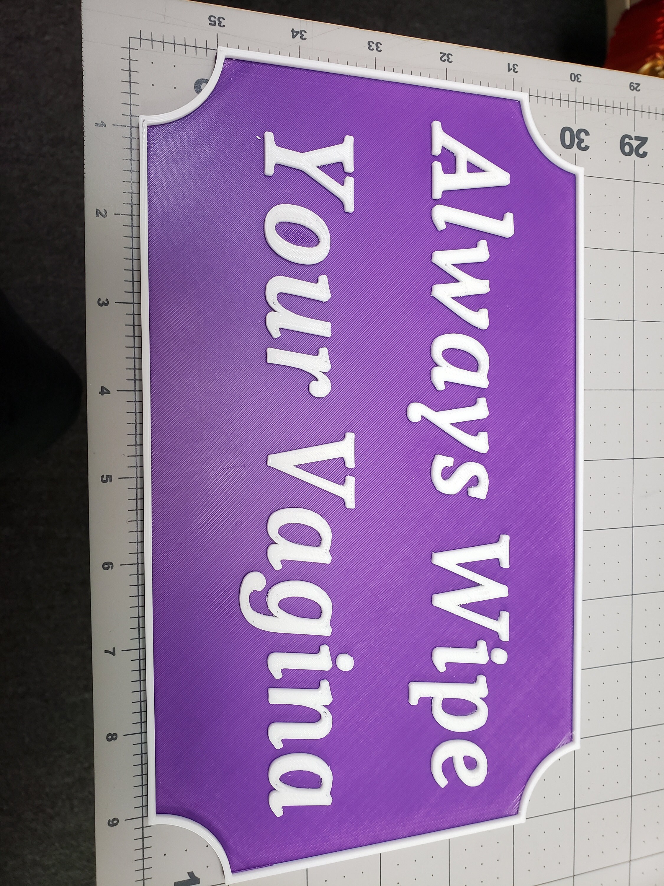 Funny Bathroom Sign / Inappropriate Signs / Potty Training - Etsy