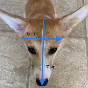 Cubone Dog Mask / Dinosaur Mask / Dog Costume / Funny Dog Gift / 3D ...