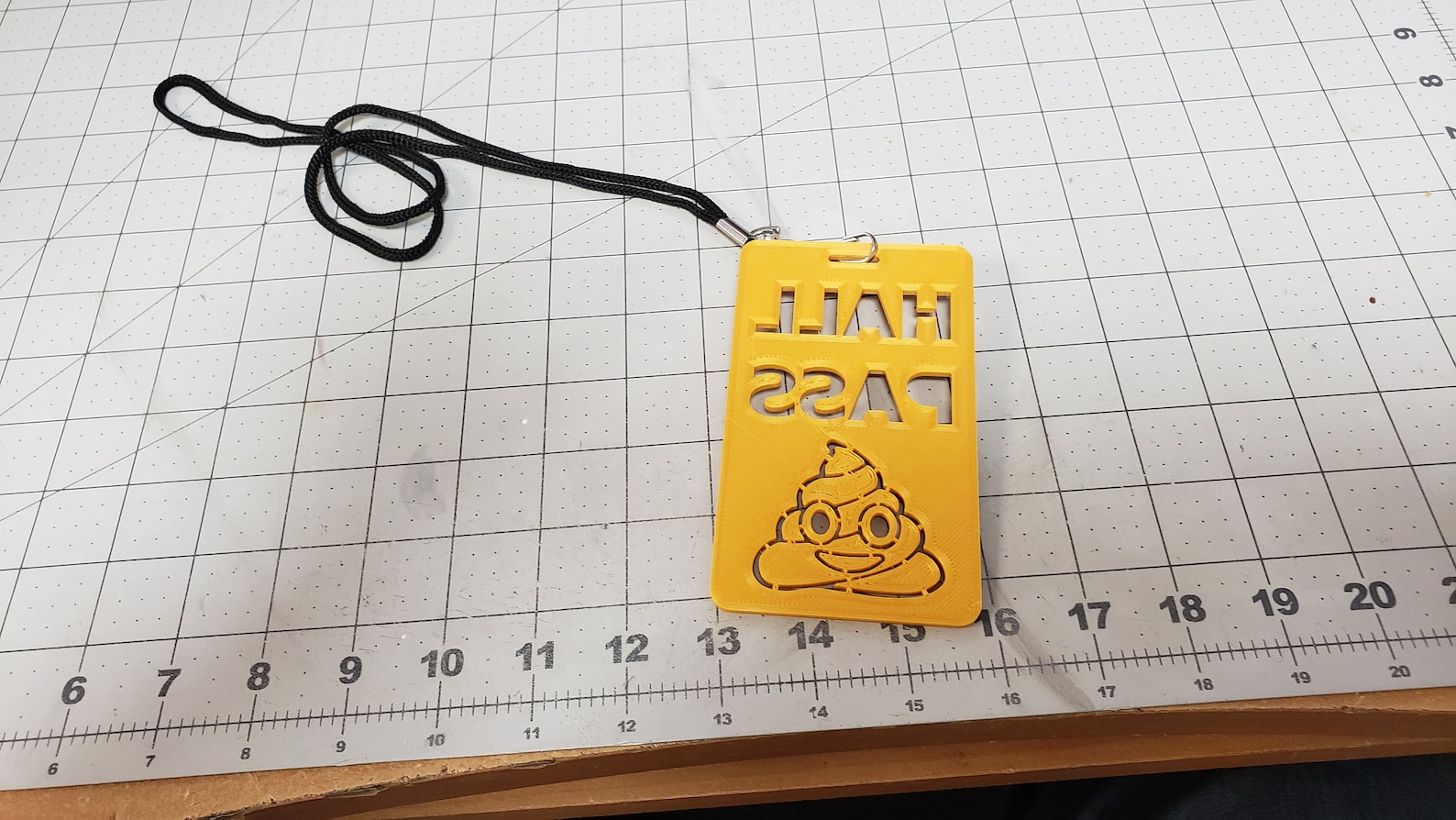 Hall Pass / Bathroom Pass / Gift for Teacher / Back to School / Poop ...